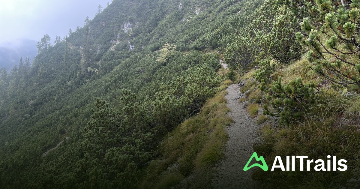 Val de Lavaredo - hikes and trails to get you there | AllTrails