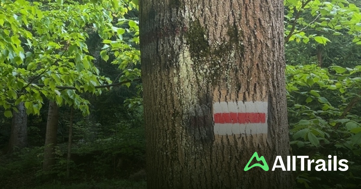Fragment murów obronnych - hikes and trails to get you there | AllTrails