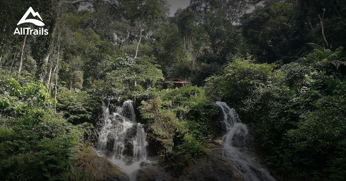 Kanching Falls - hikes and trails to get you there | AllTrails