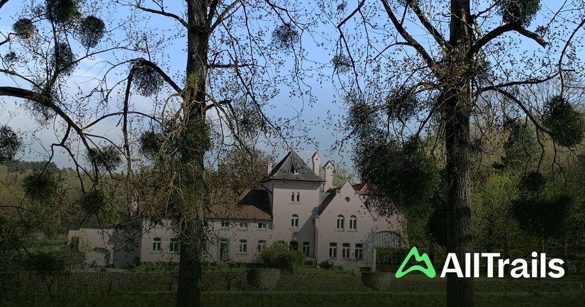 Château de la Bacquelaine : les meilleures randonnées | AllTrails