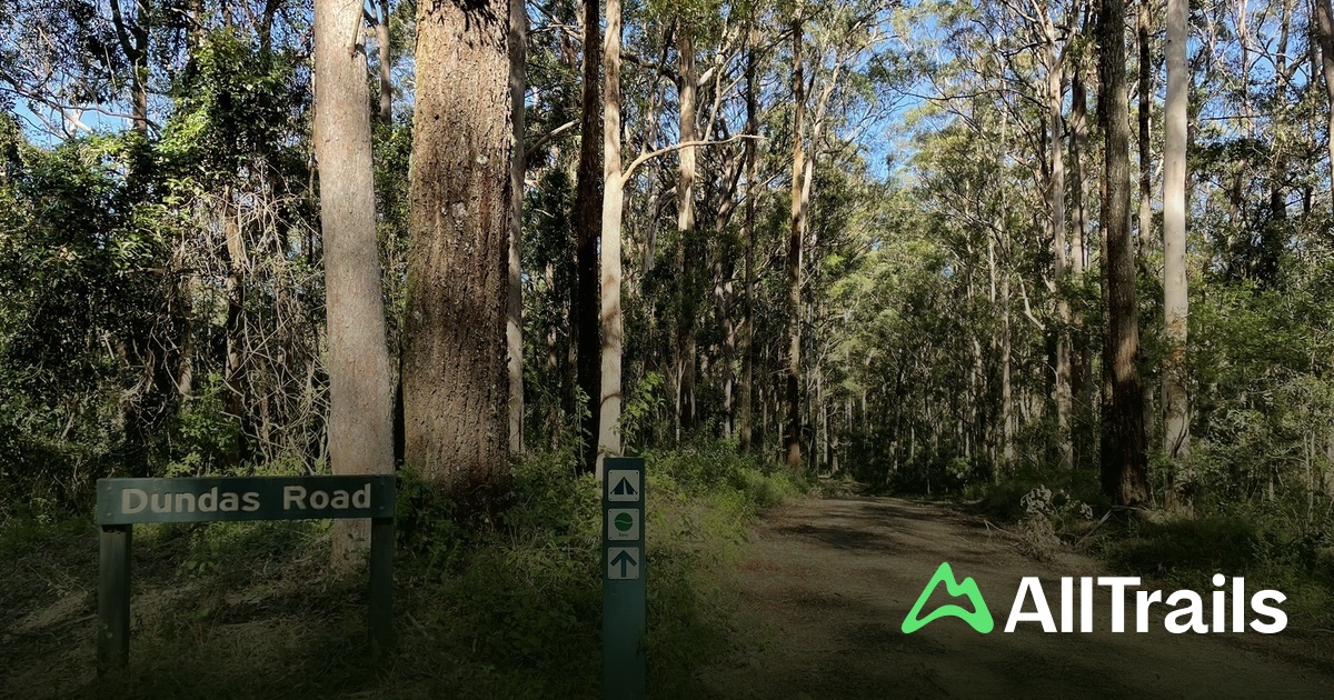 Light Line Road Bush Camp - hikes and trails to get you there | AllTrails