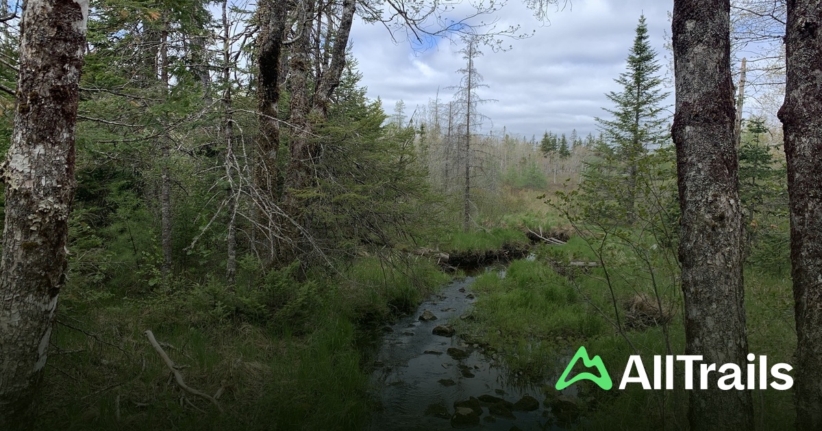 Uniacke Lake - hikes and trails to get you there | AllTrails