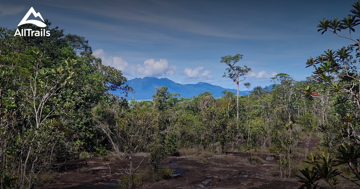 Best trails near Bukit Tambi | AllTrails
