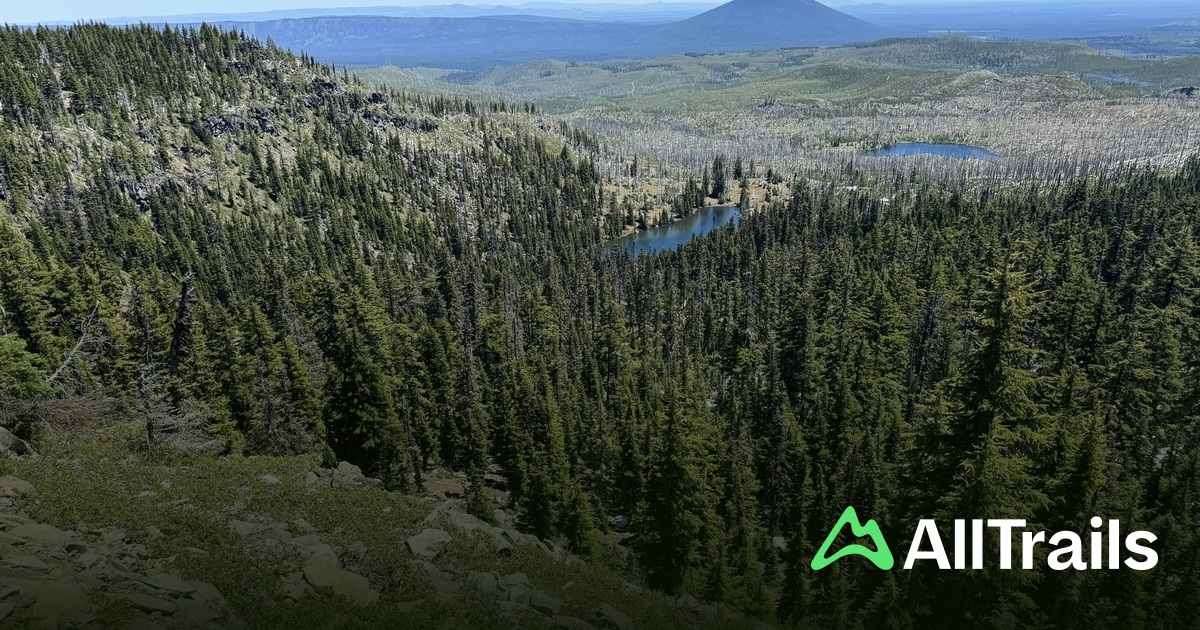 Melhores trilhos perto de Summit Lake | AllTrails