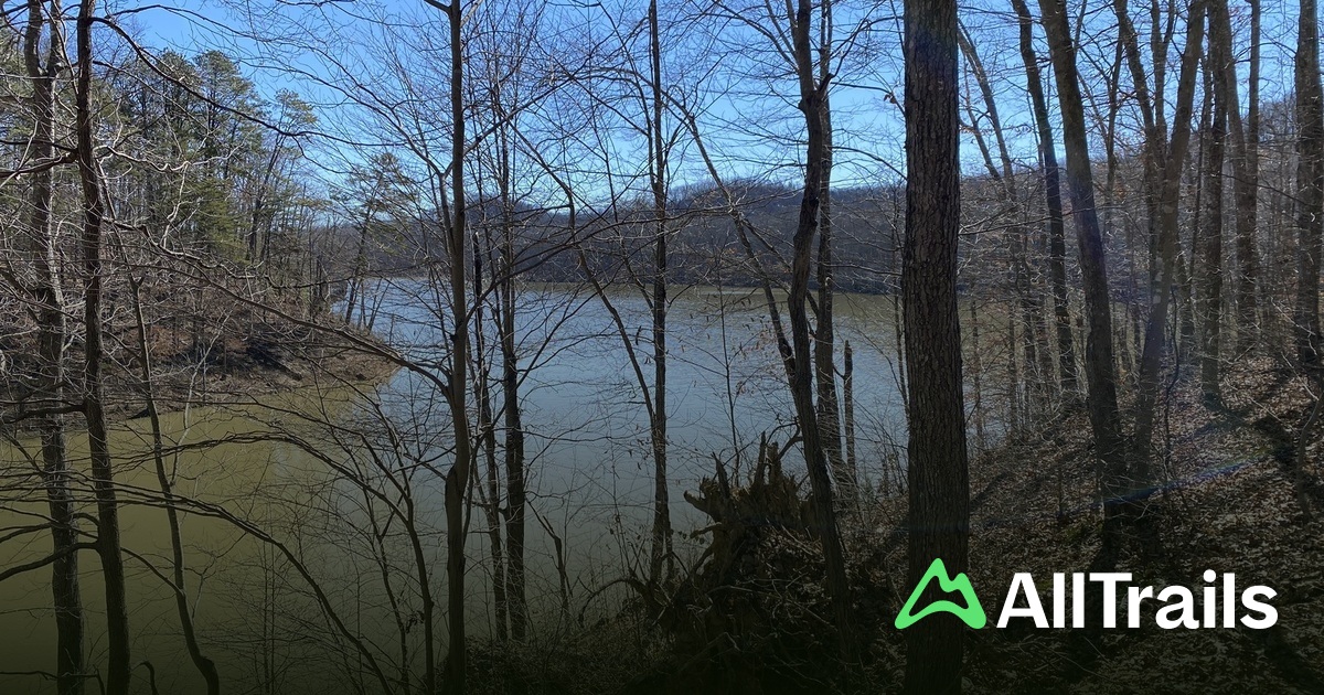 Cave Run Lake - hikes and trails to get you there | AllTrails