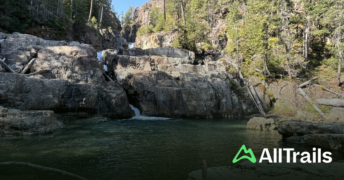 Buttle Lake - hikes and trails to get you there | AllTrails