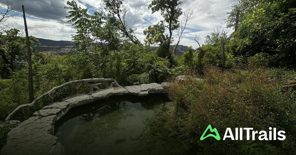 Beste routes in de buurt van Carlito Spring | AllTrails