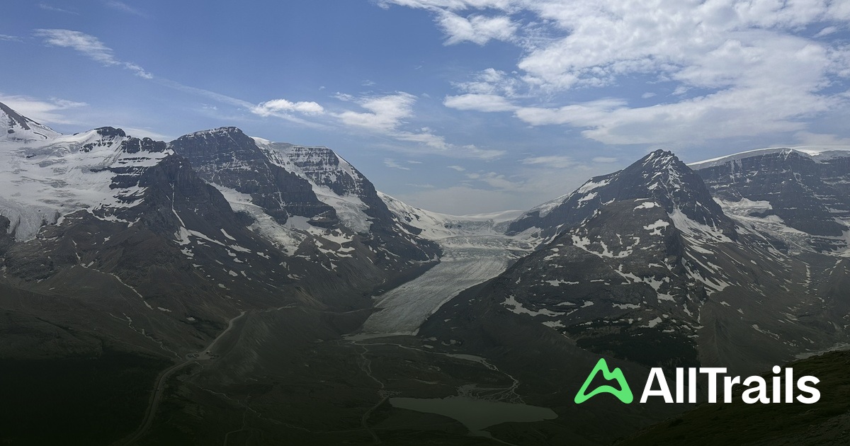 Wilcox Ridge Viewpoint - hikes and trails to get you there | AllTrails