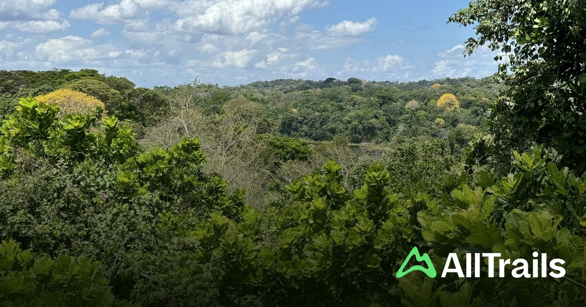 Lago Calamito Observation Platform - hikes and trails to get you there ...
