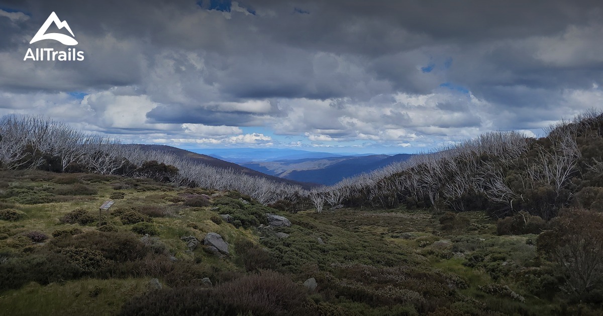 Howman Falls - hikes and trails to get you there | AllTrails