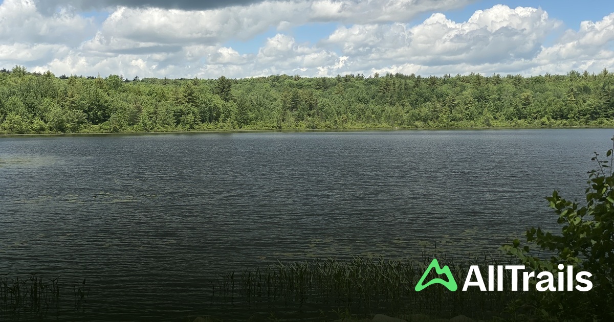 Deering Pond - hikes and trails to get you there | AllTrails