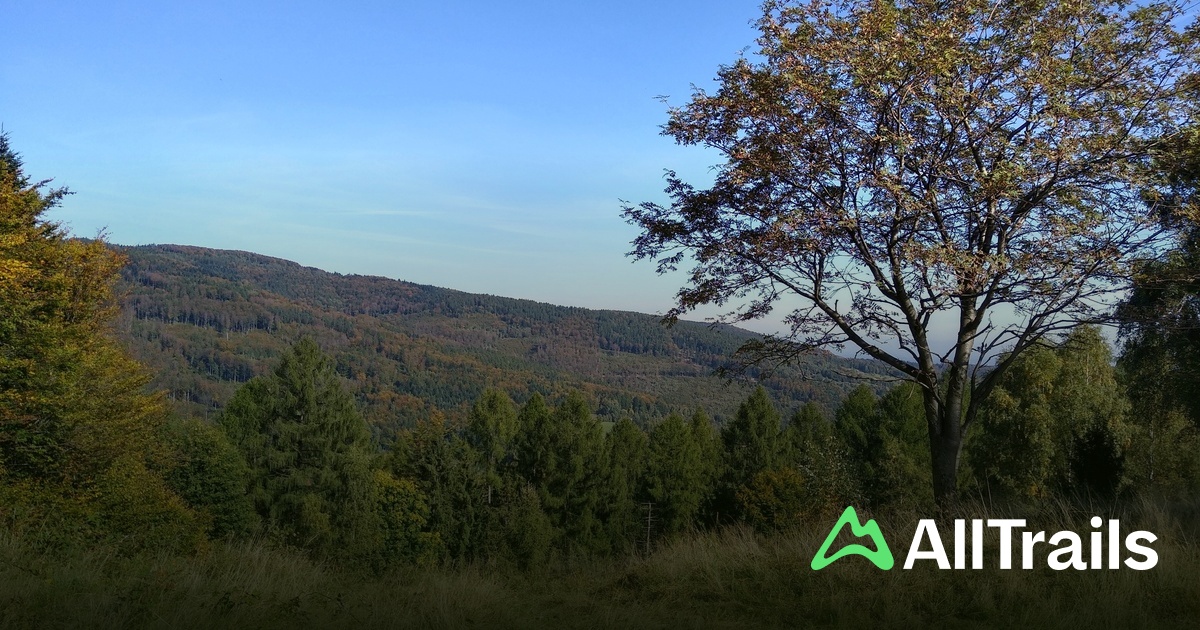 Czarne Działy II - hikes and trails to get you there | AllTrails