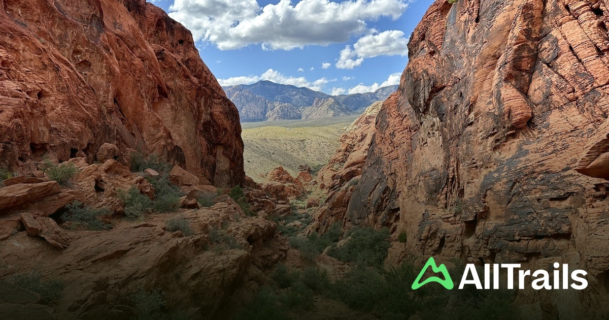 Calico Spring: Die besten Routen in der Umgebung | AllTrails