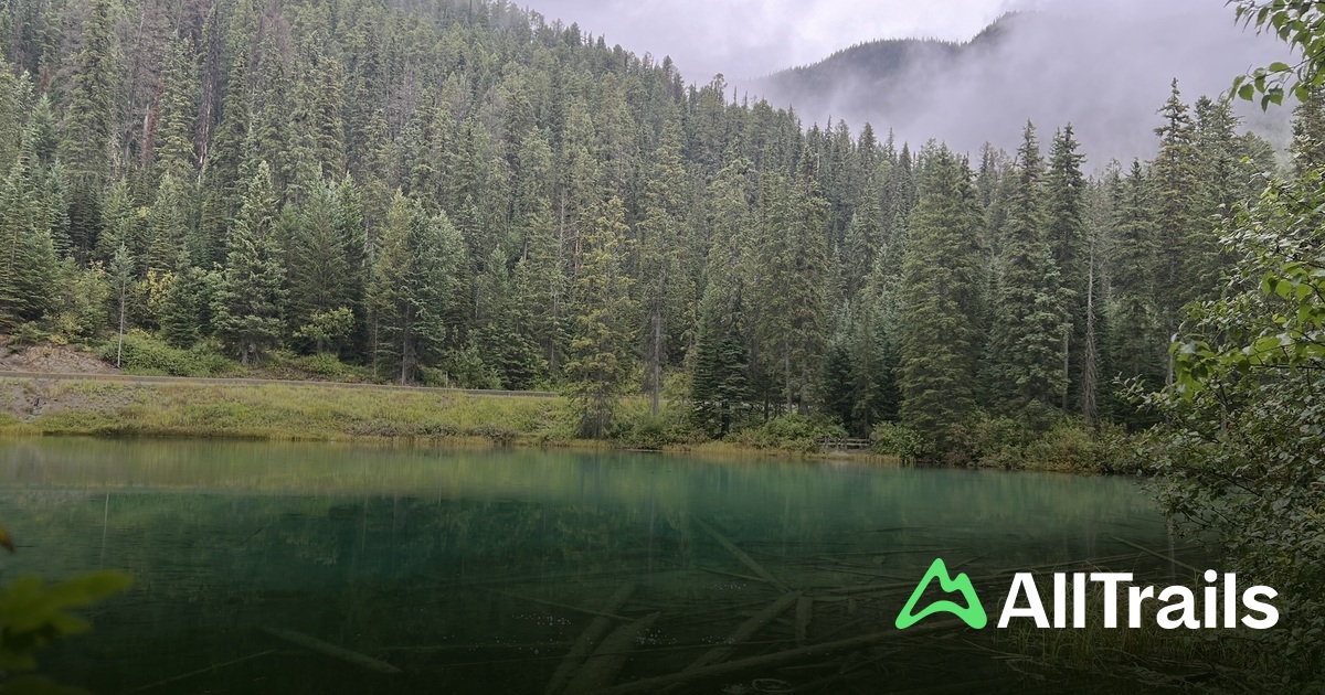 Olive Lake - hikes and trails to get you there | AllTrails