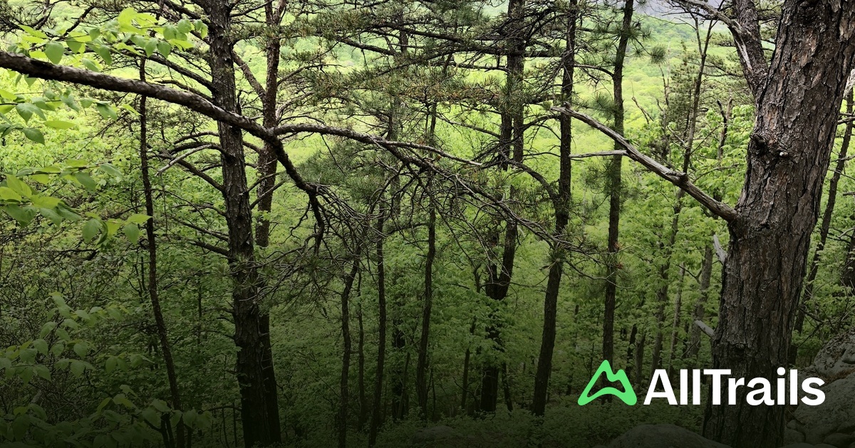 Cacapon State Park Lake - hikes and trails to get you there | AllTrails