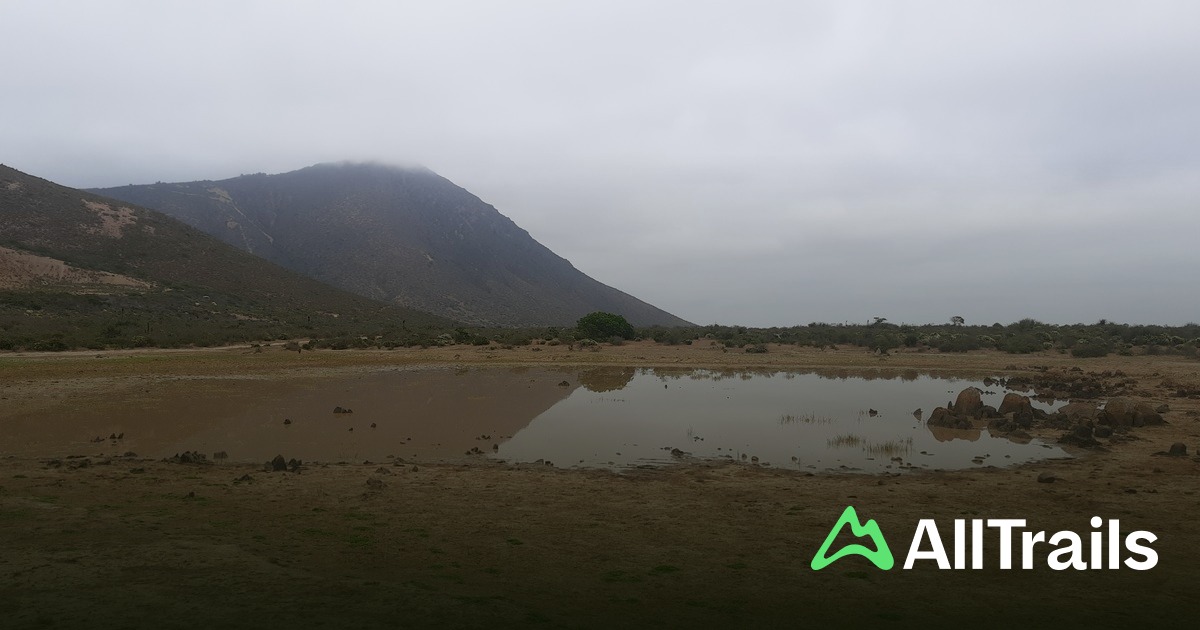 De beste stiene i nærheten av Cerro Santa Inés | AllTrails