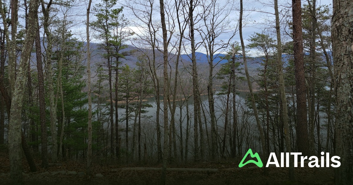 Carvins Cove Reservoir - hikes and trails to get you there | AllTrails