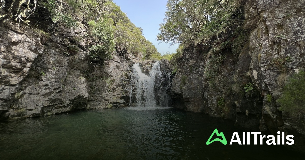 Madre da Levada do Pico da Urze - hikes and trails to get you there ...
