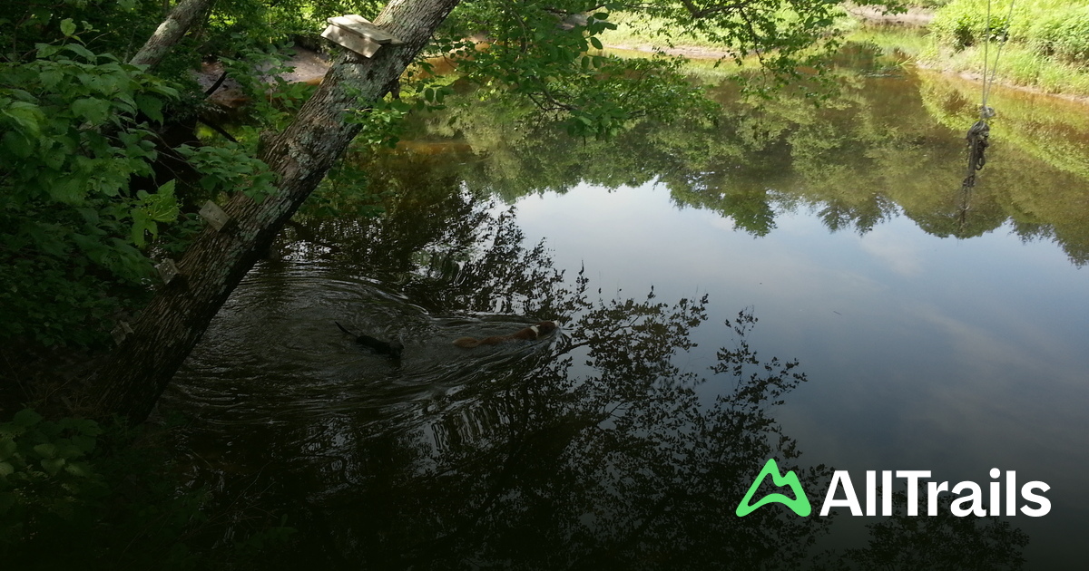 Indian River - hikes and trails to get you there | AllTrails