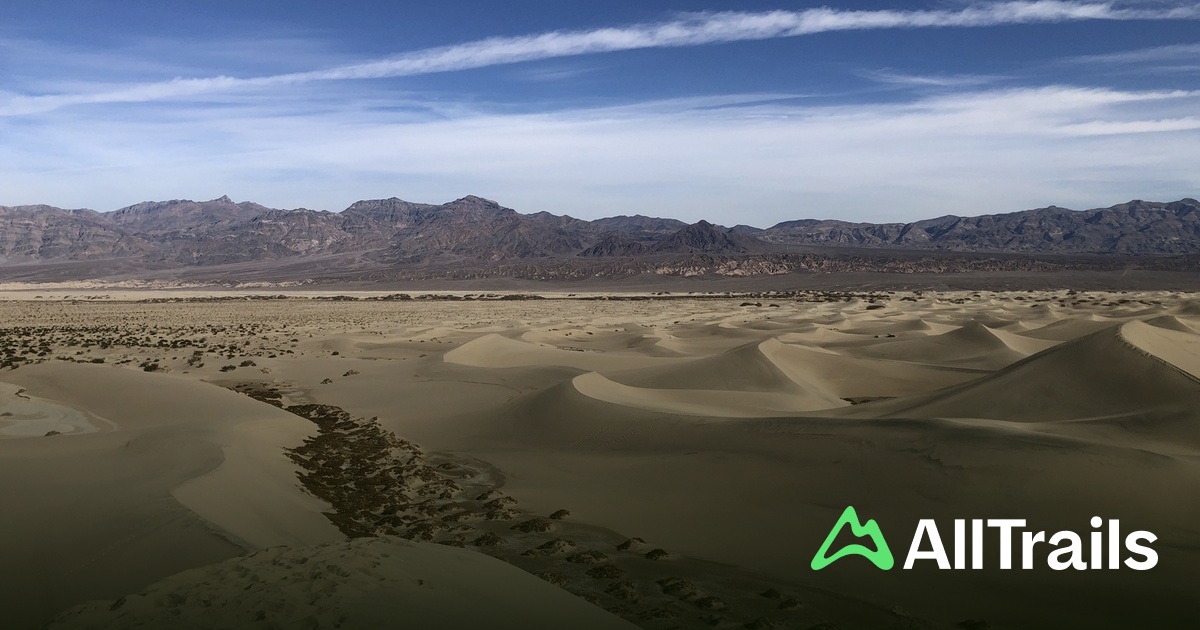 Mesquite Dunes - hikes and trails to get you there | AllTrails