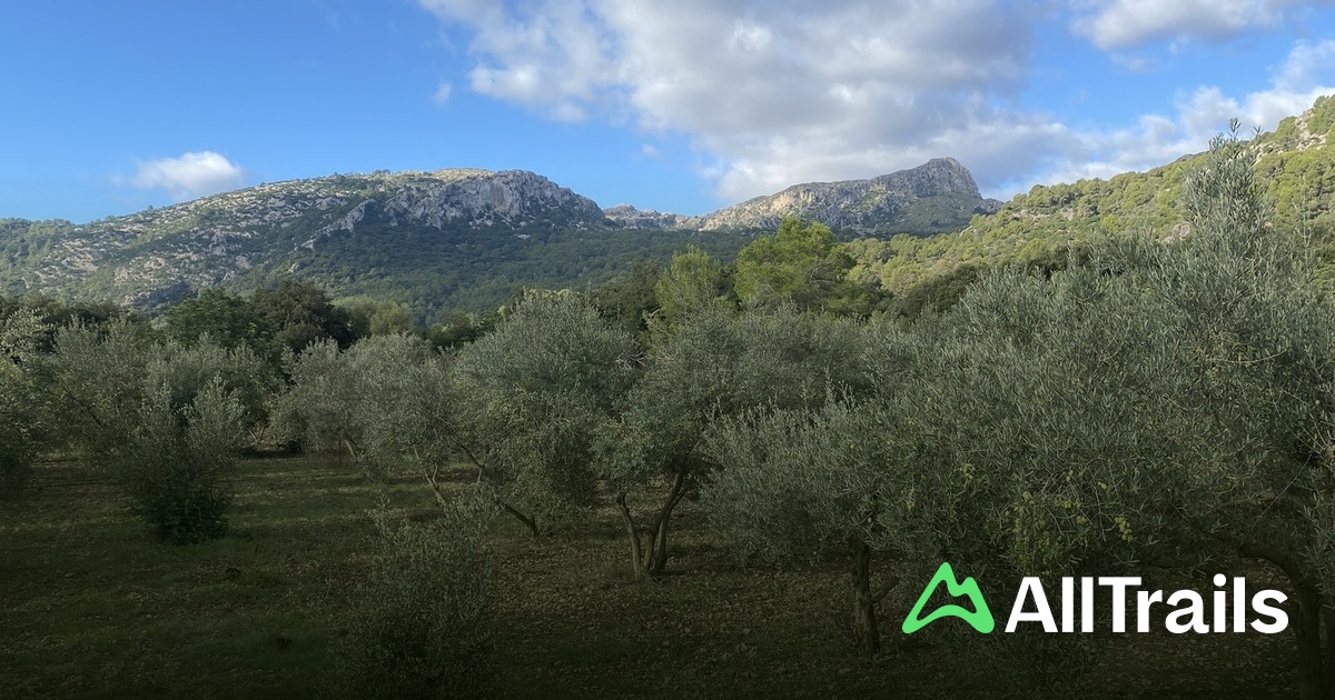 Vall de Colonya - hikes and trails to get you there | AllTrails