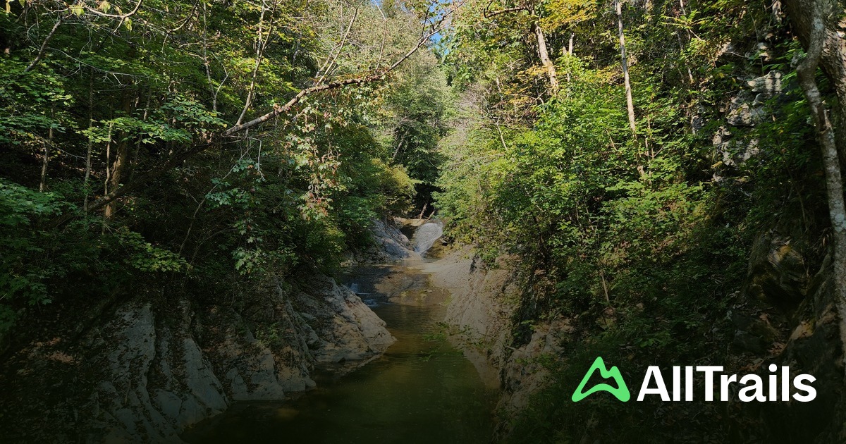 Saltpeter Cave: Die besten Routen in der Umgebung | AllTrails