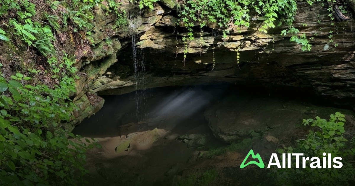 Sand Cave - hikes and trails to get you there | AllTrails