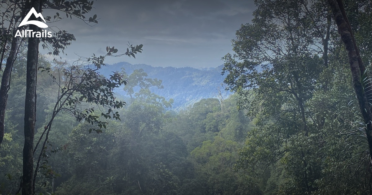 Gunung Ulu Tranum - hikes and trails to get you there | AllTrails