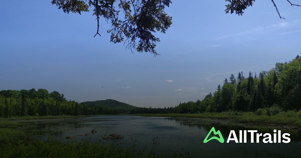 Rivière Devost : les meilleures randonnées | AllTrails