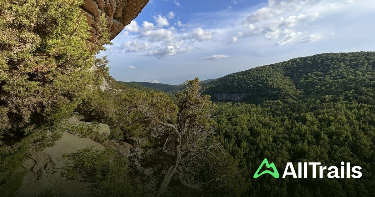 Roark Bluff - hikes and trails to get you there | AllTrails