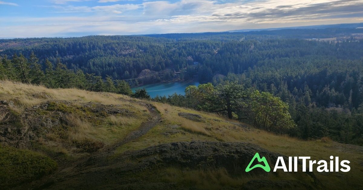 Cornet Bay - hikes and trails to get you there | AllTrails