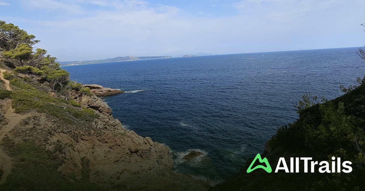 Bedste ruter i nærheden af Mirador de Sa Riera | AllTrails