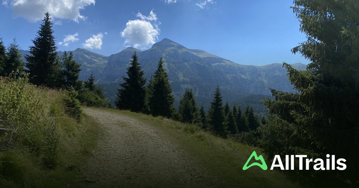 Val Calda: Die besten Routen in der Umgebung | AllTrails