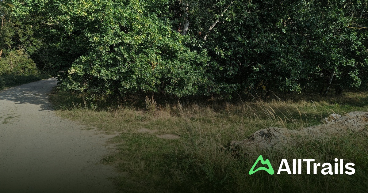 Beste routes in de buurt van Steinkiste Malchin 5 | AllTrails