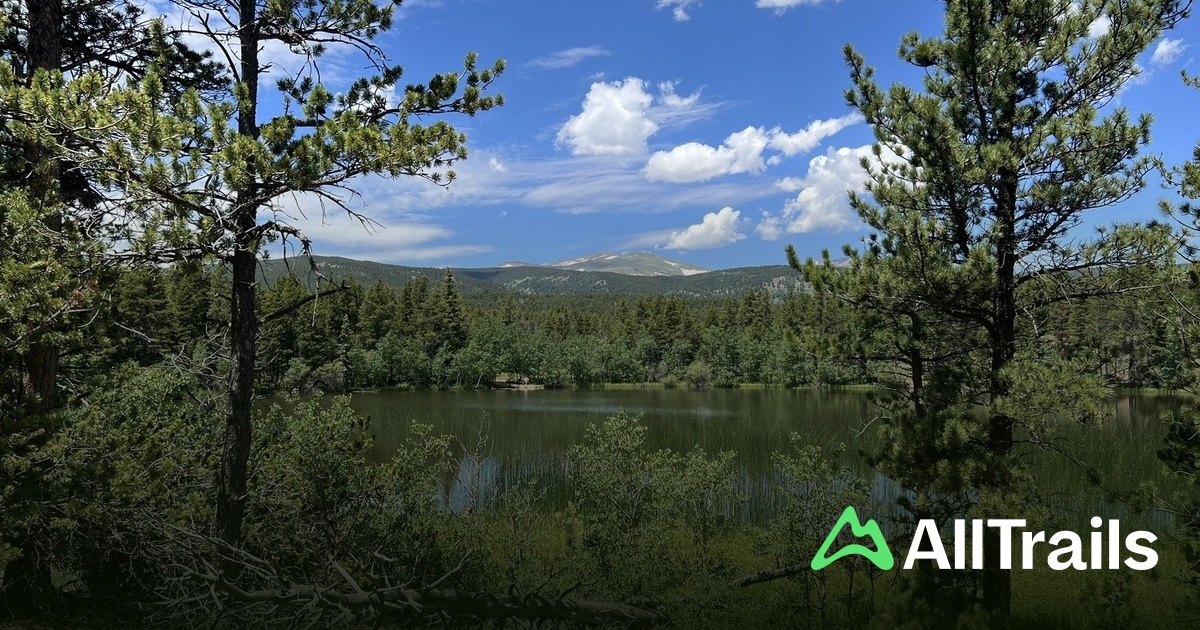 Mud Lake - hikes and trails to get you there | AllTrails