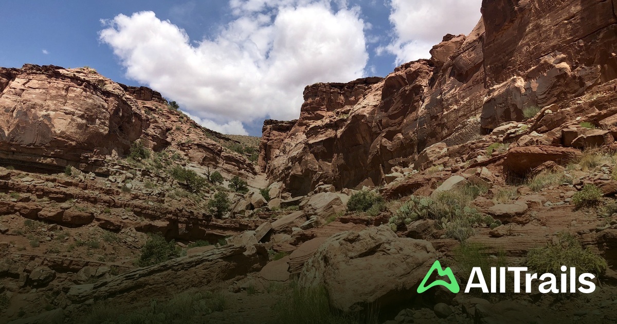 Narrow Ravine - hikes and trails to get you there | AllTrails