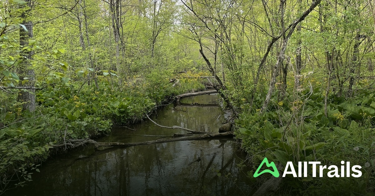 Lower Trout Lake - hikes and trails to get you there | AllTrails