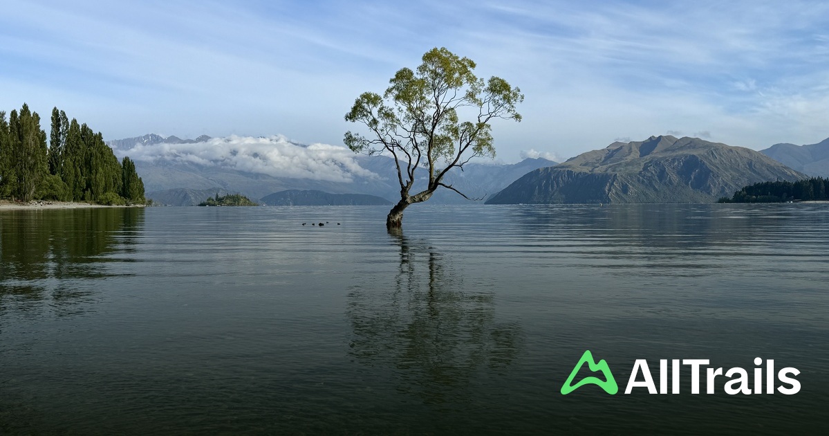 That Wānaka Tree: Die besten Routen in der Umgebung | AllTrails