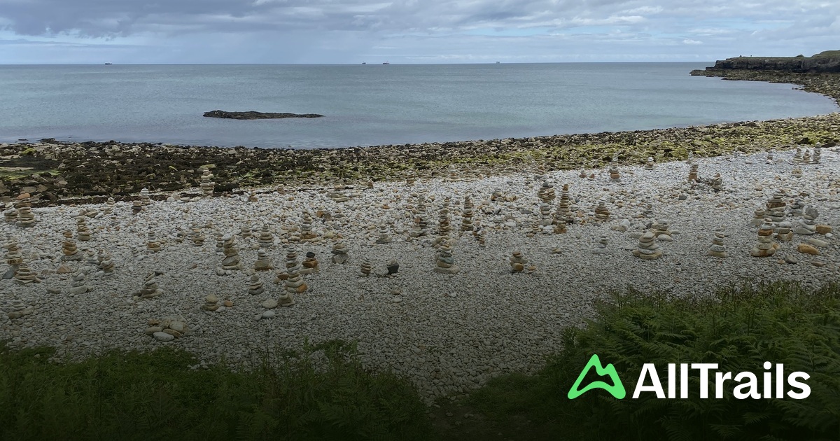 Lligwy Beach – najlepsze szlaki w pobliżu | AllTrails
