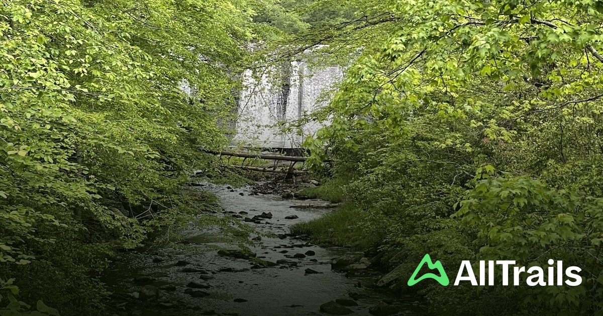 Happyland Camp Five Lake - hikes and trails to get you there | AllTrails