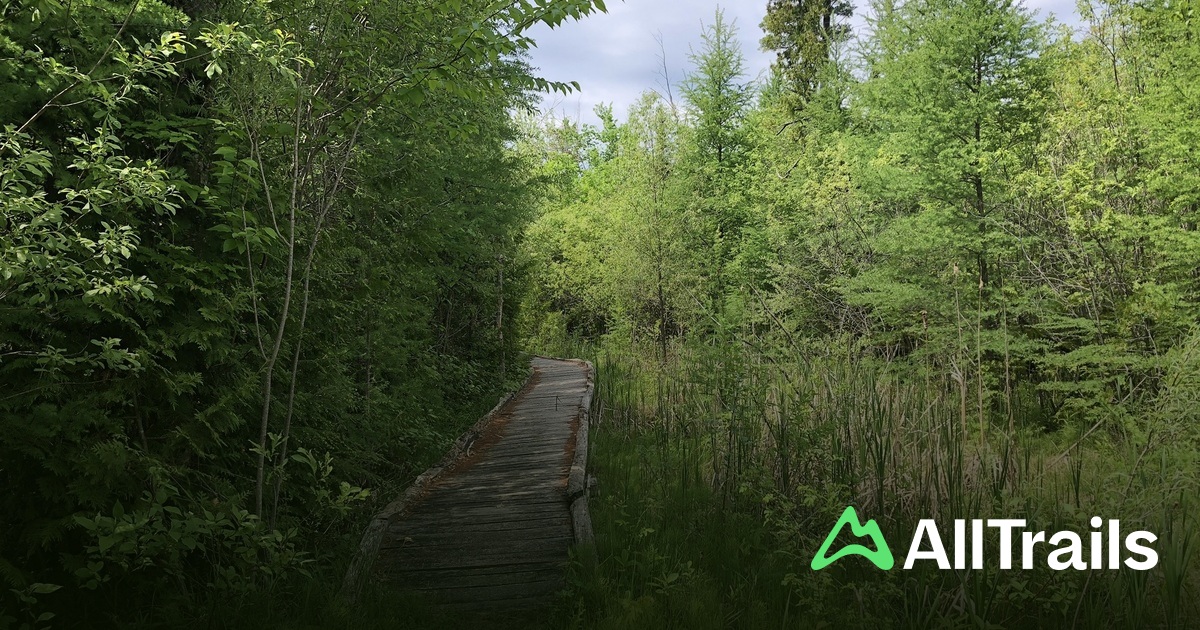 Lime Lake - hikes and trails to get you there | AllTrails