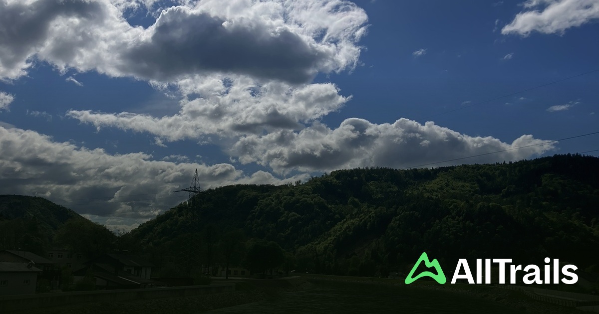 Steinbruchstollen - hikes and trails to get you there | AllTrails