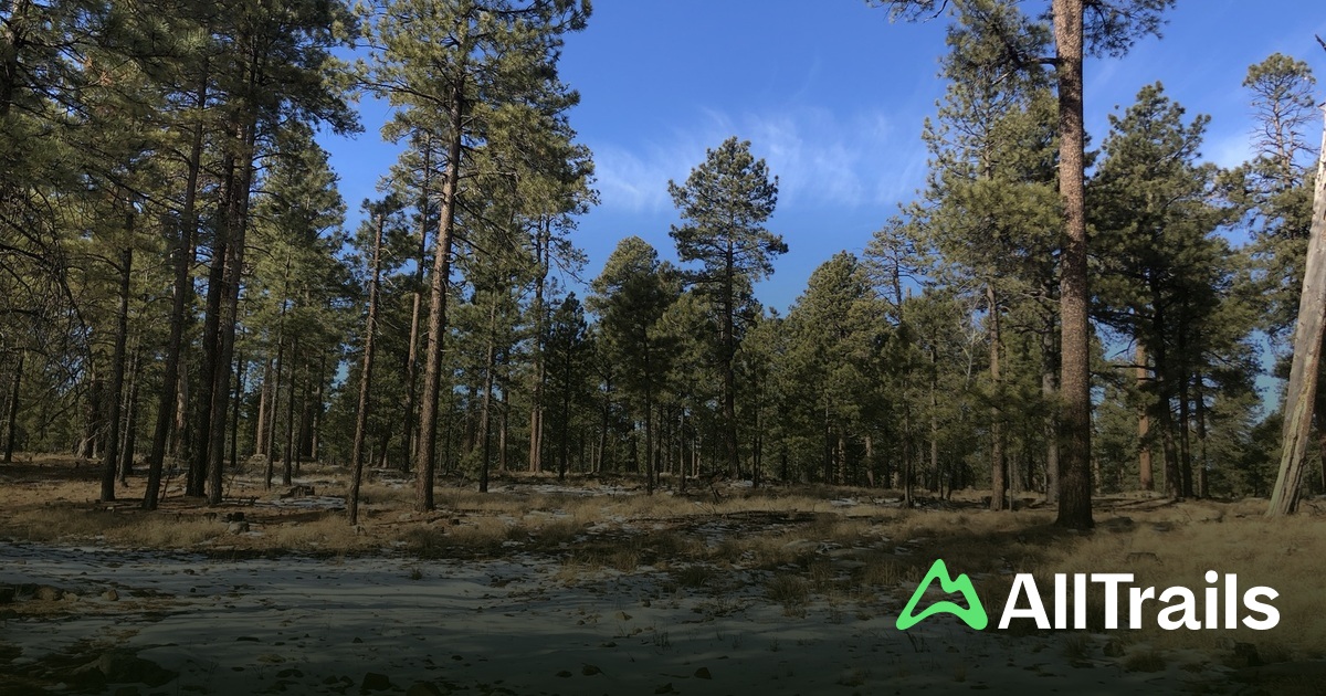 Best trails near Willow Springs Lake | AllTrails