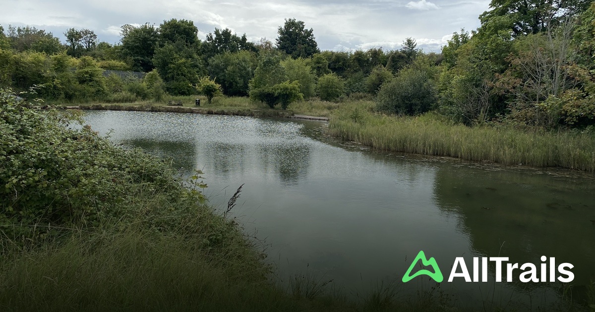 Frog Lake - hikes and trails to get you there | AllTrails
