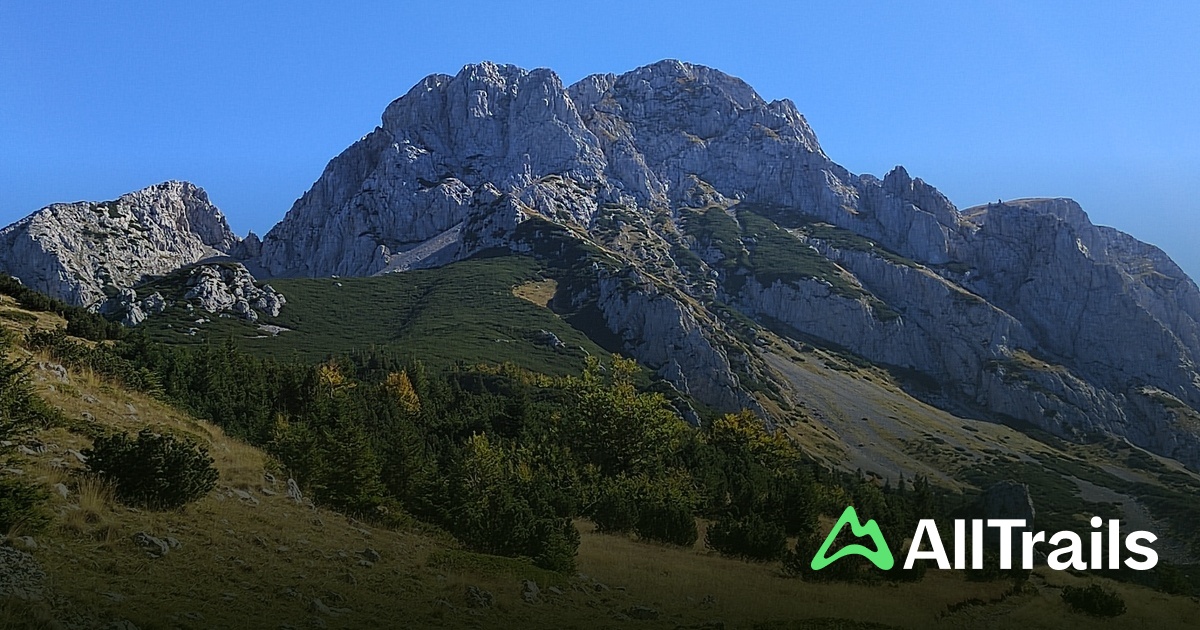 Best trails near Outdoor Tara | AllTrails