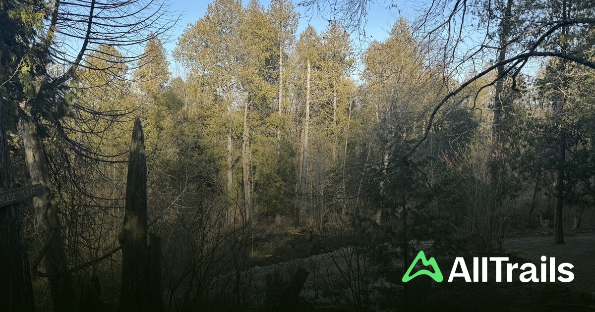 Pancake Cave - hikes and trails to get you there | AllTrails