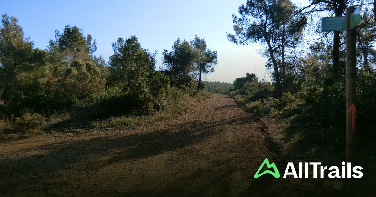 Los mejores senderos cerca de Àrea de pícnic Barbacoa Begues | AllTrails