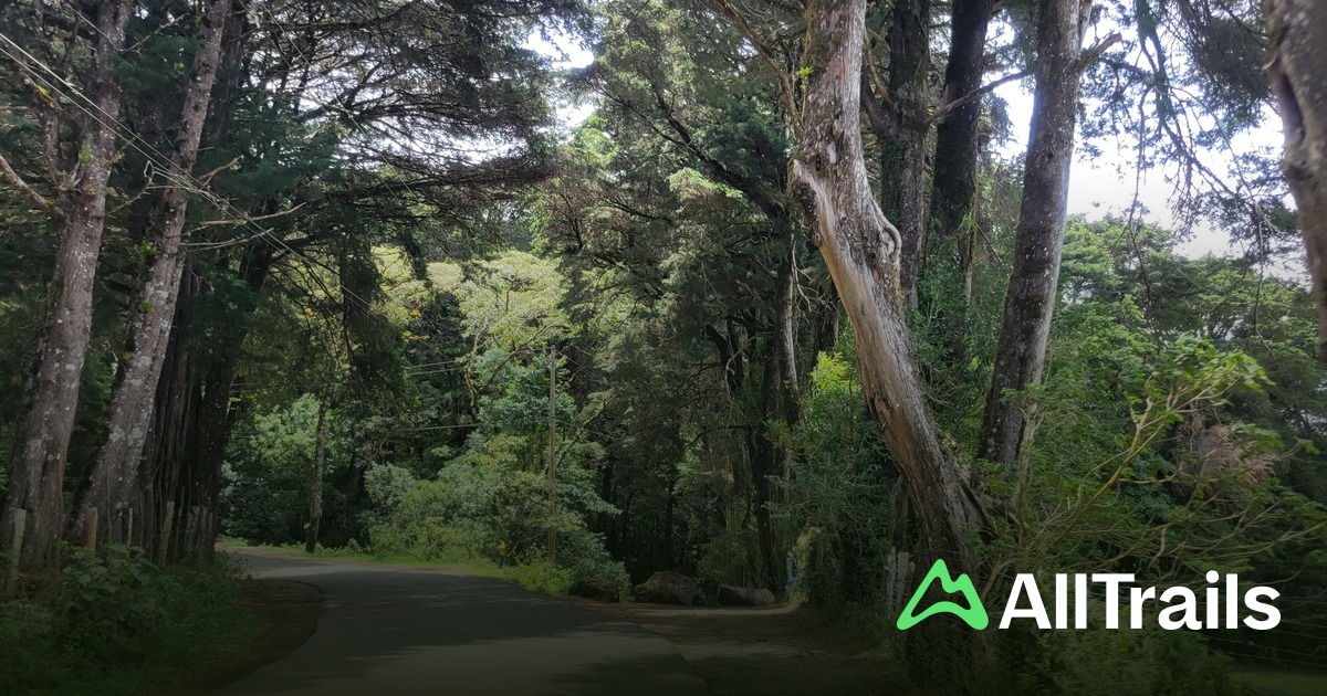 Monte de la Cruz - hikes and trails to get you there | AllTrails
