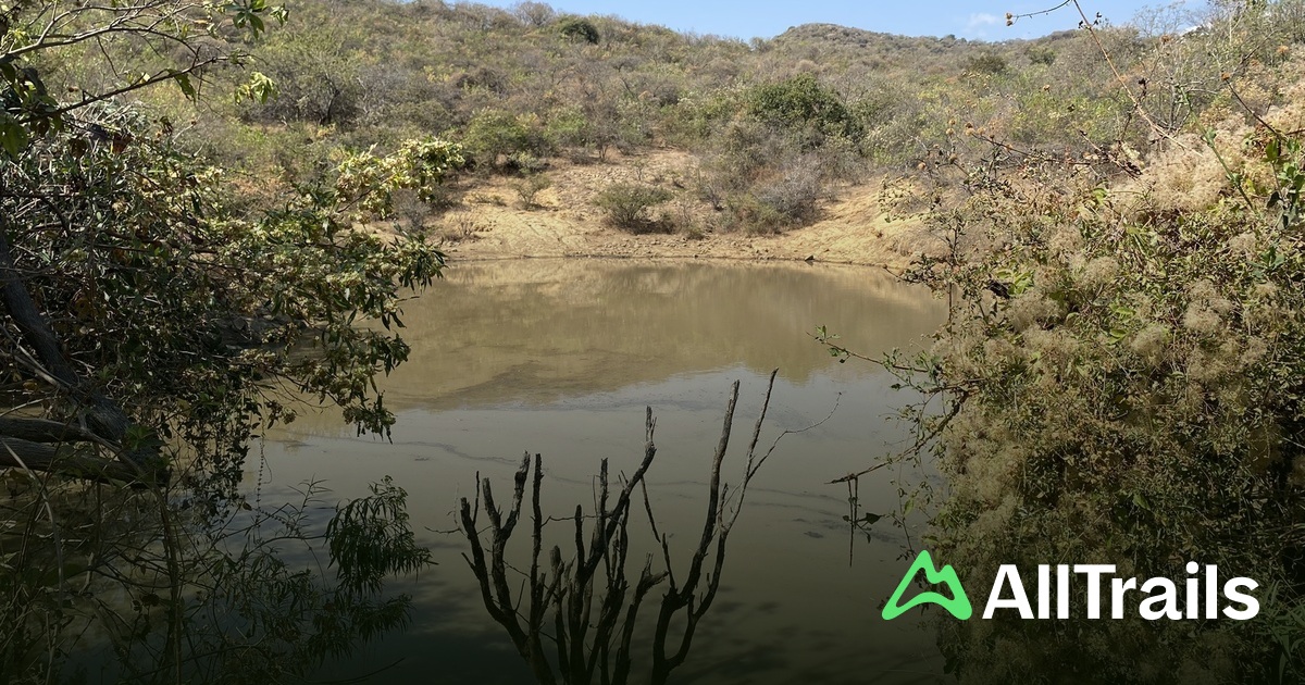 Best trails near Poza de Quetzalcoatl | AllTrails