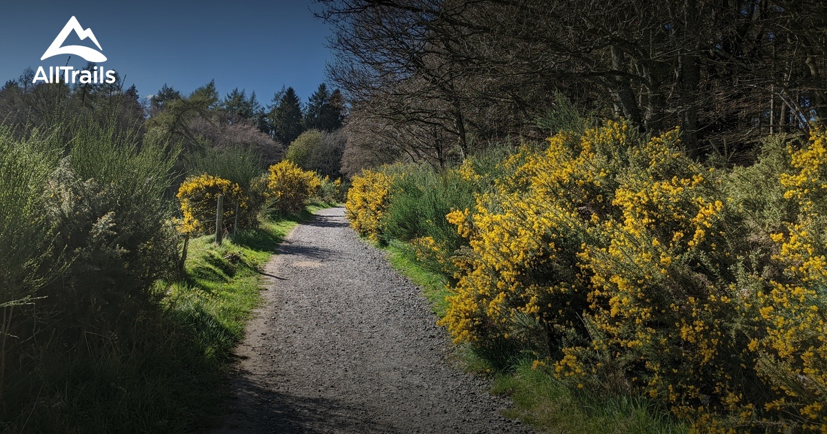Kinnoull Hill - hikes and trails to get you there | AllTrails